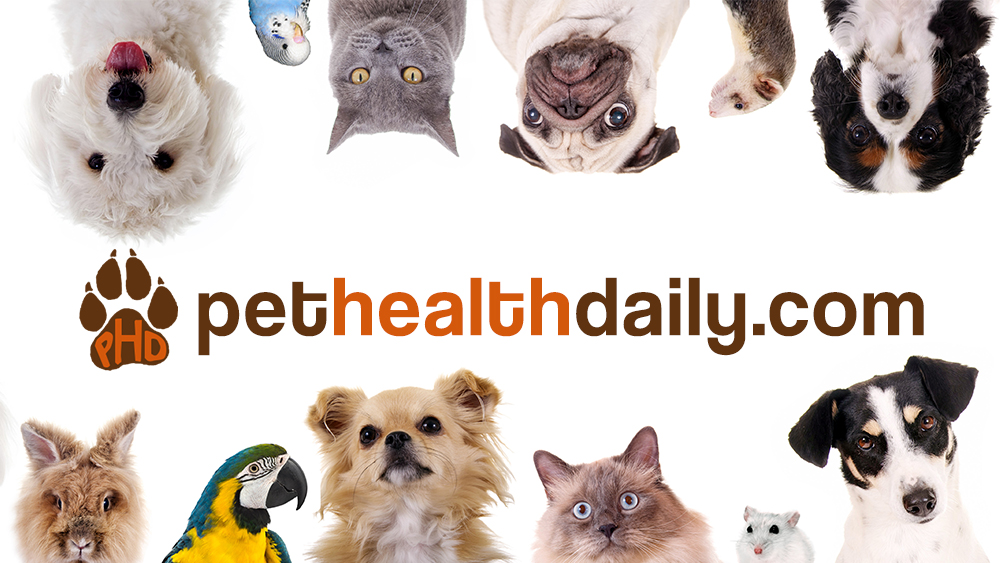 Pet Health Daily Com | Pet Health Daily – Pet Health Daily Information